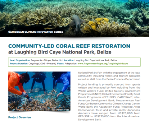 Community-Led Coral Reef Restoration at Laughing Bird Caye National ...