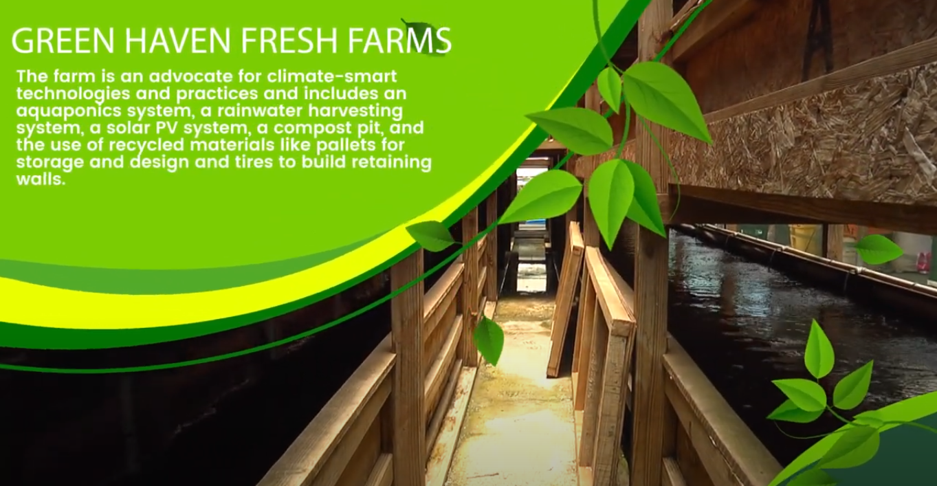 Community Innovation in Climate Action, Saint Lucia: Green Haven Fresh ...